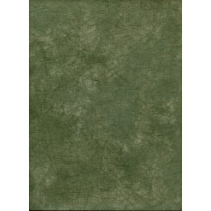 Dodd Camera - ProMaster Muslin background 10'x12' Green